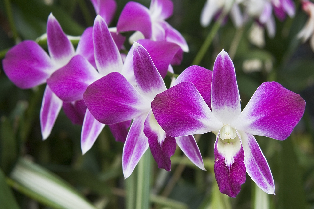 Fun Family Activities await you this Spring in Naples- | Naples Park ...